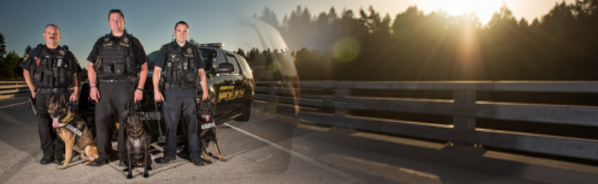 K - 9 Unit